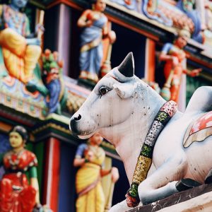 Understanding the Symbolism in Hindu Temples – Bhavani Temple